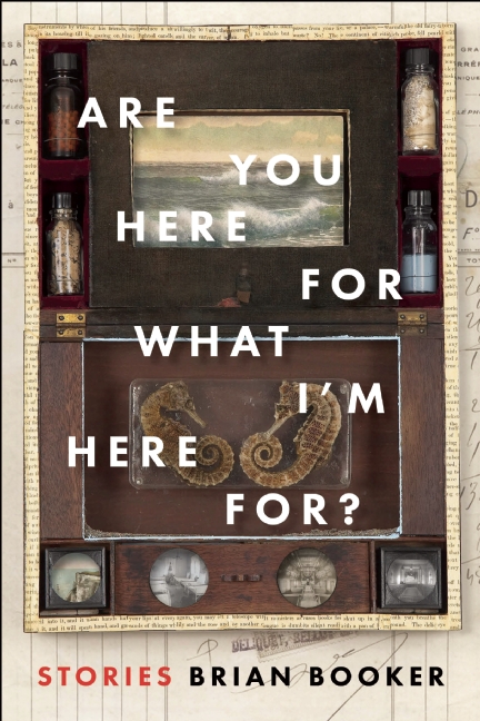 Are You Here for What I’m Here For? by Brian Booker | Dactyl Review